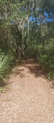 Best Hikes and Trails in Three Island Lakes Park | AllTrails