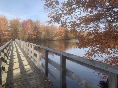 Best Forest Trails in Saint-Amable | AllTrails