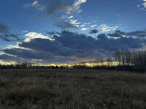 Best Hikes and Trails in Wagner Natural Area | AllTrails