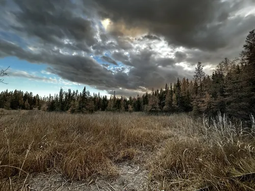 Best Hikes and Trails in Wagner Natural Area | AllTrails