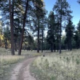 Mars Hill Trail Loop, Arizona - 1,365 Reviews, Map | AllTrails