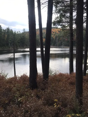 Best Hikes and Trails in Isabel La Roche Godwin Preserve | AllTrails