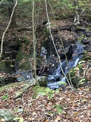 Best Hikes and Trails in Pole Hill Pond | AllTrails