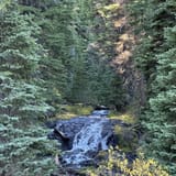 Todd Lake Loop, Oregon - 720 Reviews, Map | AllTrails