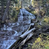 Umbrella and Sahale Falls Loop, Oregon - 1,838 Reviews, Map | AllTrails