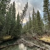 Fenland Trail, Alberta, Canada - 778 Reviews, Map | AllTrails