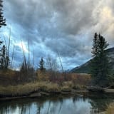 Fenland Trail, Alberta, Canada - 778 Reviews, Map | AllTrails
