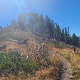 Crow Peak Trail, South Dakota - 857 Reviews, Map | AllTrails