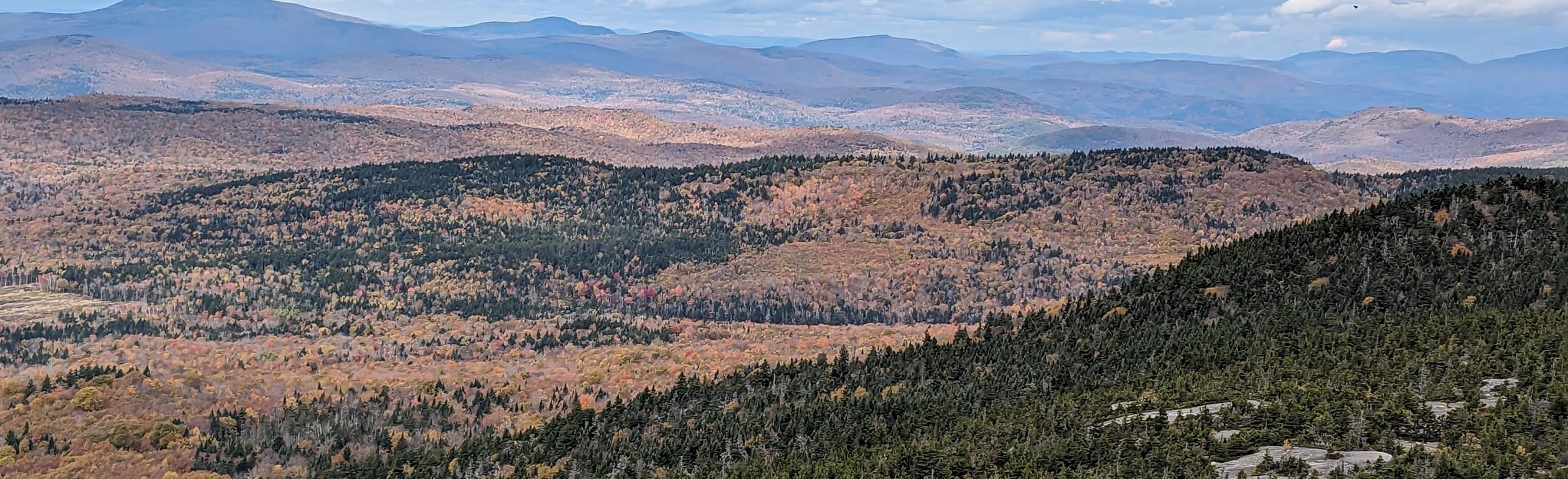 Mount Cardigan via Holt and Clark Trail, New Hampshire - 325 Reviews ...