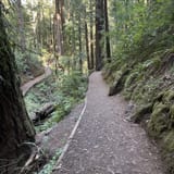 Bootjack Loop, California - 1,698 Reviews, Map | AllTrails
