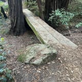 Bootjack Loop, California - 1,698 Reviews, Map | AllTrails