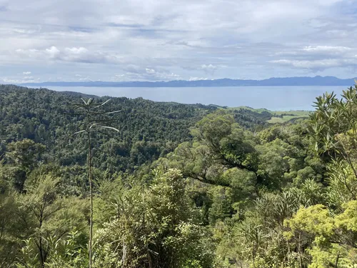 Best Bird Watching Trails in Hunua Ranges Regional Park | AllTrails