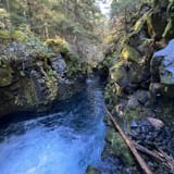 Toketee Falls, Oregon - 1,993 Reviews, Map | AllTrails