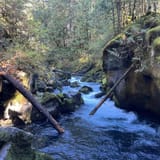 Toketee Falls, Oregon - 1,993 Reviews, Map | AllTrails