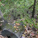 Sharps Ridge Loop Trail, Tennessee - 838 Reviews, Map | AllTrails