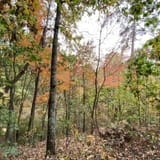 Sharps Ridge Loop Trail, Tennessee - 838 Reviews, Map | AllTrails