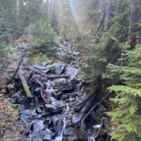 Maple Pass Trail, Washington - 7,596 Reviews, Map | AllTrails