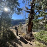 Lower Cataract Loop Trail, Colorado - 890 Reviews, Map | AllTrails