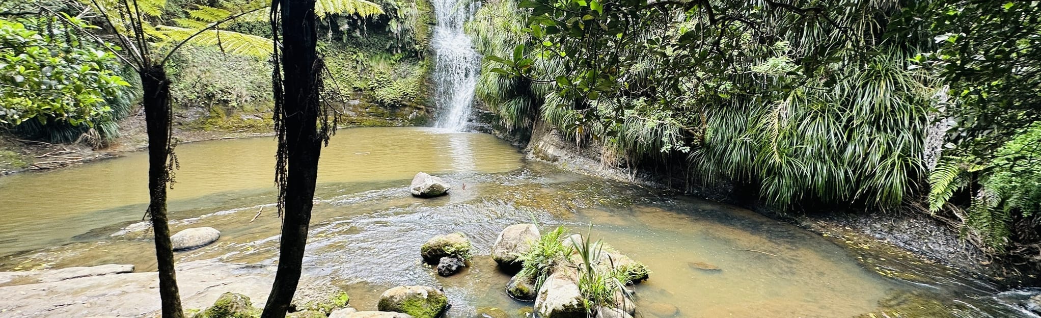 Omeru Falls Track, Auckland, New Zealand - 18 Reviews, Map | AllTrails