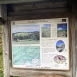 Huckleberry Knob Trail, North Carolina - 612 Reviews, Map | AllTrails
