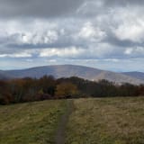 Huckleberry Knob Trail, North Carolina - 612 Reviews, Map | AllTrails