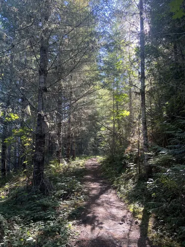 Best Views Trails in Molalla River Corridor Recreation Area | AllTrails