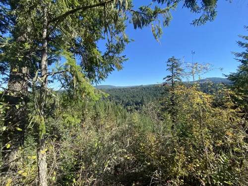 Best Views Trails in Molalla River Corridor Recreation Area | AllTrails