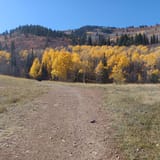 Armstrong Trail to Dawns Trail Loop, Utah - 2,545 Reviews, Map | AllTrails
