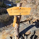 Lundy Canyon Trail, California - 588 Reviews, Map | AllTrails