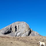 Black Rock Mountain, Alberta, Canada - 377 Reviews, Map | AllTrails