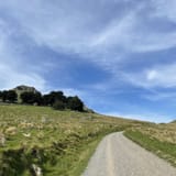 Rapaki Track, Canterbury, New Zealand - 517 Reviews, Map | AllTrails