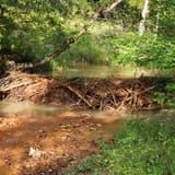 Redbank Valley Trail, Pennsylvania - 161 Reviews, Map | AllTrails