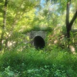 Redbank Valley Trail, Pennsylvania - 161 Reviews, Map | AllTrails