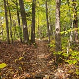 Black Cap and Cranmore Mountain via Black Cap Trail, New Hampshire ...