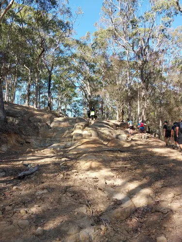 Best 10 Hikes and Trails in Jilliby State Conservation Area | AllTrails