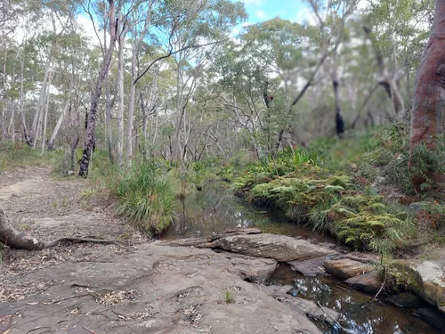 Best Hikes and Trails in Mill Creek Mountain Bike Trails (Menai Park ...