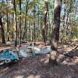 Pin-Chin-Sky Loop, Alabama - 634 Reviews, Map | AllTrails