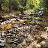 Pin-Chin-Sky Loop, Alabama - 634 Reviews, Map | AllTrails