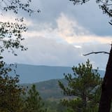 Pin-Chin-Sky Loop, Alabama - 677 Reviews, Map | AllTrails