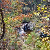 Pin-Chin-Sky Loop, Alabama - 677 Reviews, Map | AllTrails