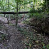 Pin-Chin-Sky Loop, Alabama - 677 Reviews, Map | AllTrails