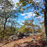 Pin-Chin-Sky Loop, Alabama - 677 Reviews, Map | AllTrails