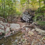 Pin-Chin-Sky Loop, Alabama - 677 Reviews, Map | AllTrails