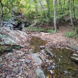 Pin-Chin-Sky Loop, Alabama - 677 Reviews, Map | AllTrails