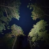 Pin-Chin-Sky Loop, Alabama - 677 Reviews, Map | AllTrails