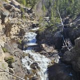 Adams Falls Trail, Colorado - 2,914 Reviews, Map | AllTrails