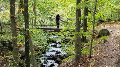 Best Trail Running Trails in Fulltofta naturreservat | AllTrails