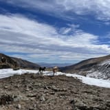 Lake Emma Trail, Colorado - 249 Reviews, Map | AllTrails