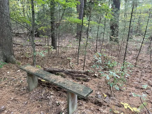 Best Hikes and Trails in Ghiloni Recreation Area | AllTrails