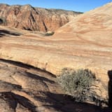 Yant Flats Trail, Utah - 1,097 Reviews, Map | AllTrails